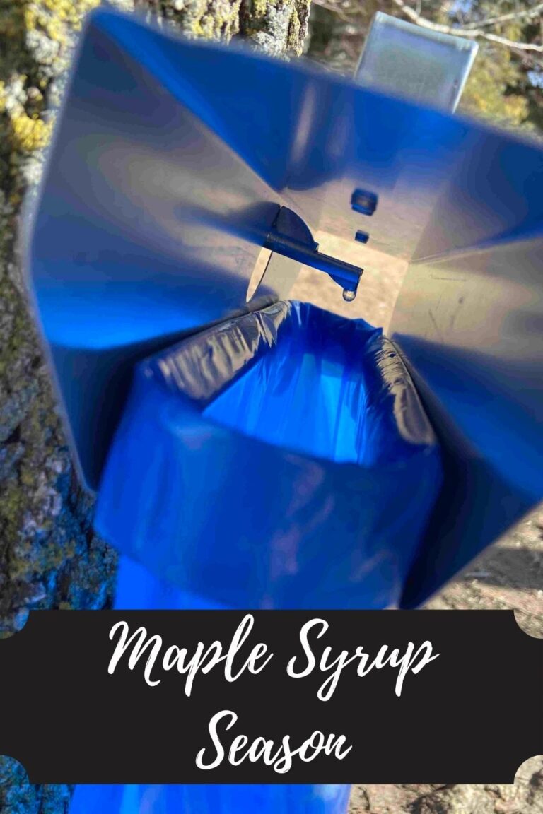 Maple Syrup Season · Jess in the Kitchen