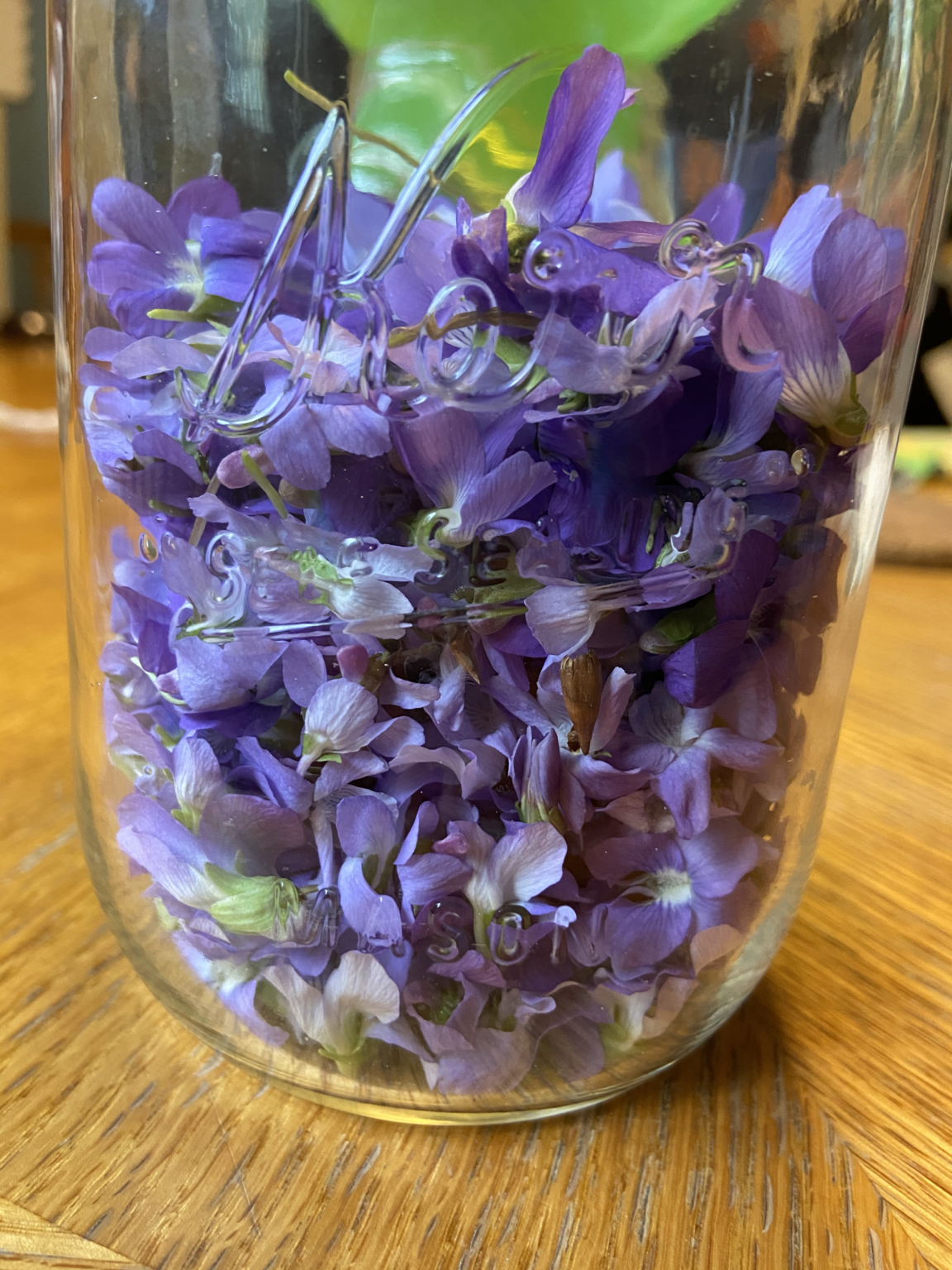 Wild Violet Jelly · Jess in the Kitchen