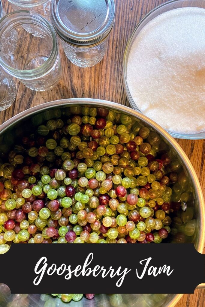 Gooseberry Jam · Jess in the Kitchen