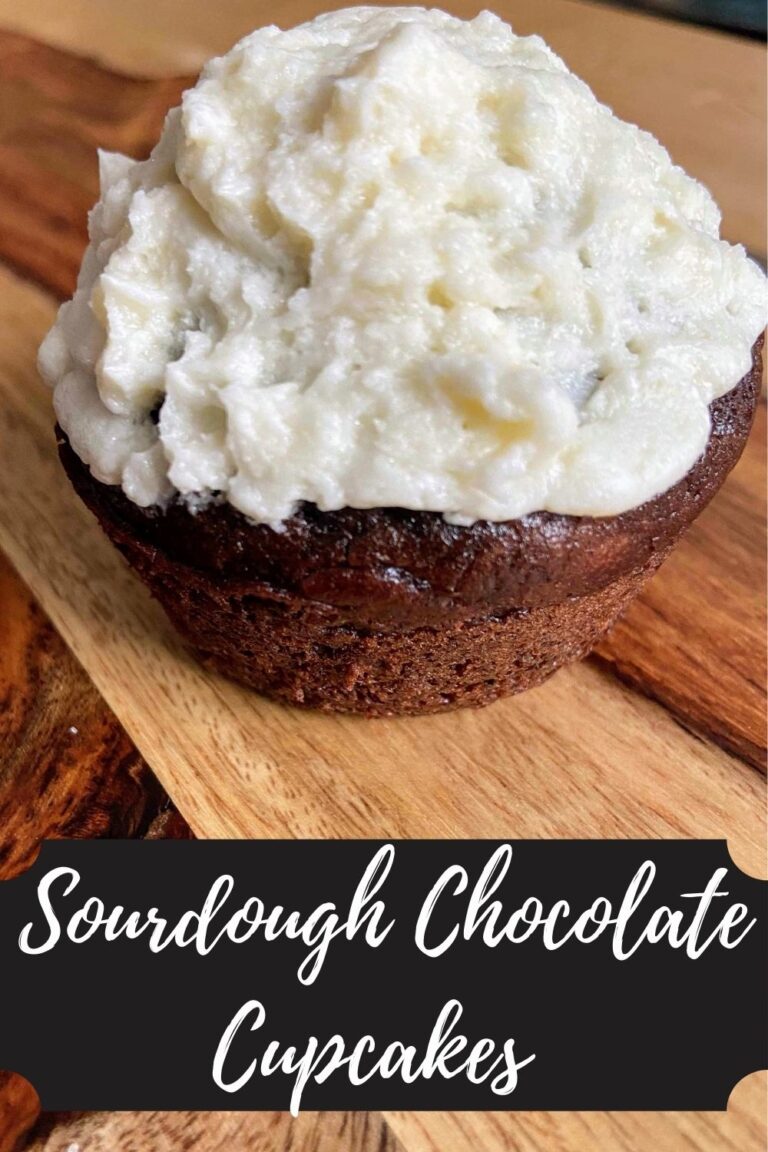 Sourdough Chocolate Cupcakes with Vanilla Frosting · Jess in the Kitchen
