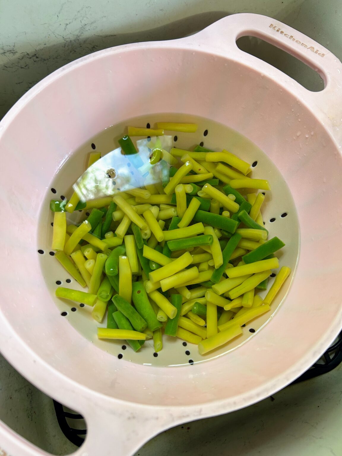 Preserving and Freezing Green Beans · Jess in the Kitchen